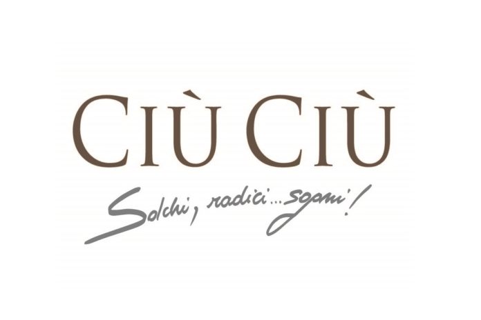 Ciù Ciù: una storia di passione e tradizione vinicola - Italia News Online